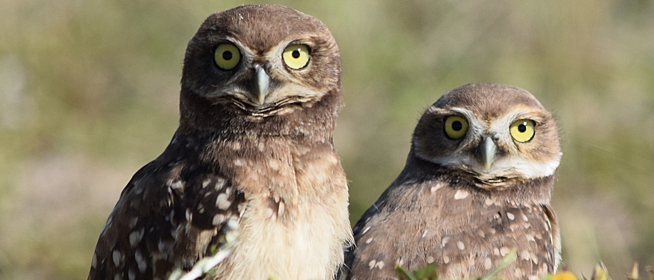 Hakutulokset | Mercurian eKampus